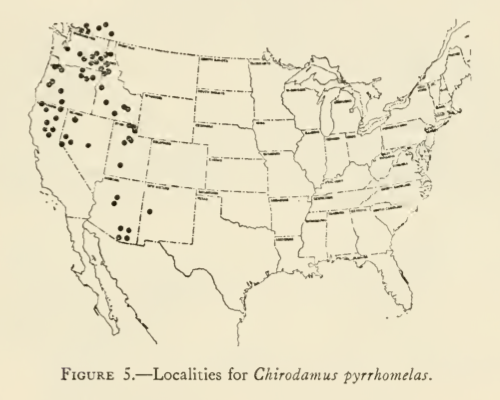 June 8, 2013, Shasta: Sting of the Tarantula Hawk